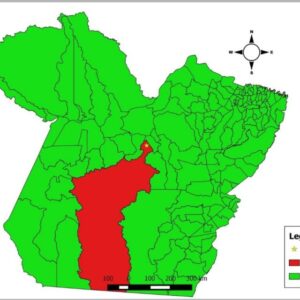 Você sabia? Área territorial de Altamira é maior que 10 estados e o DF